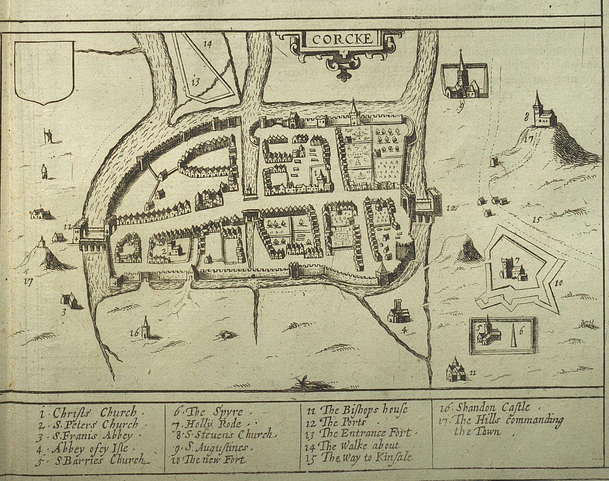 St Mary’s of the Isle: The Dominican Friars in Medieval Cork/The Friary ...
